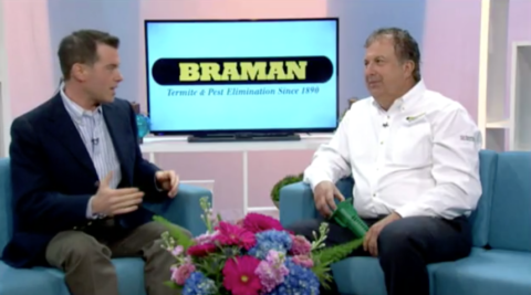 Eliminate Pests with Braman Termite & Pest Elimination | Braman Termite & Pest Elimination