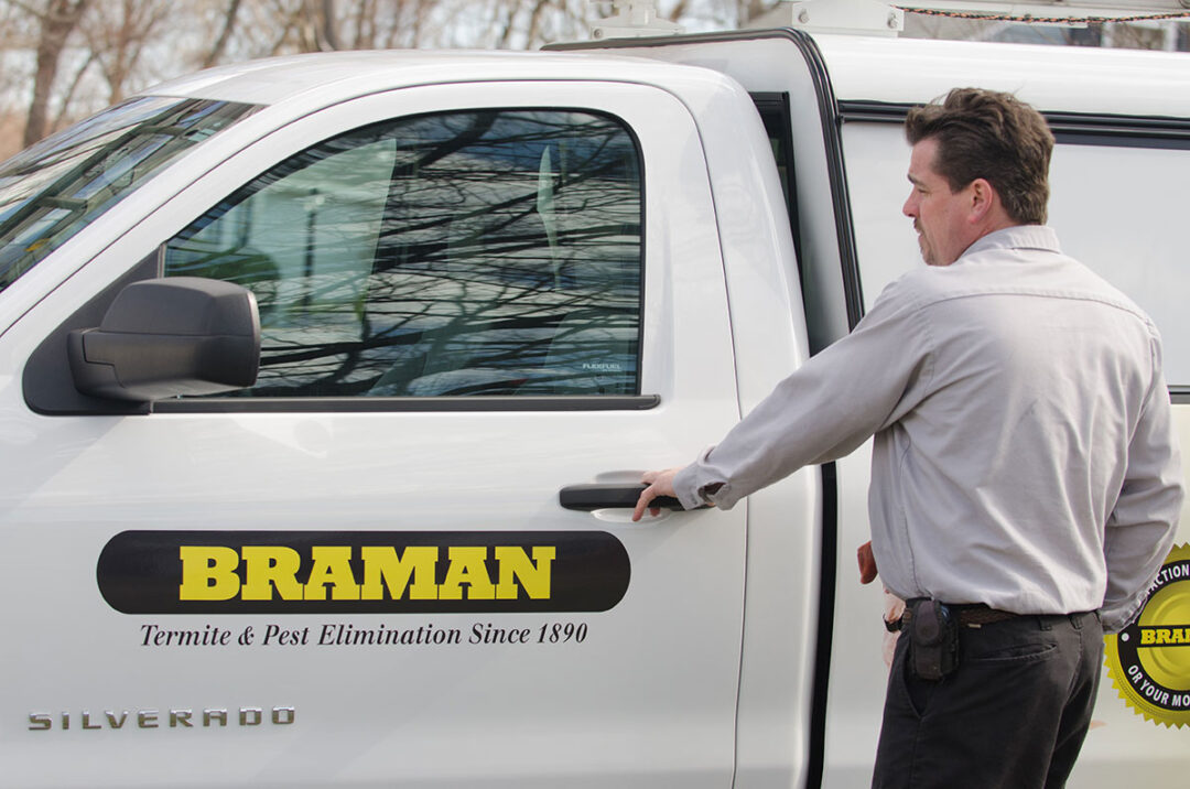 Team | Braman Pest