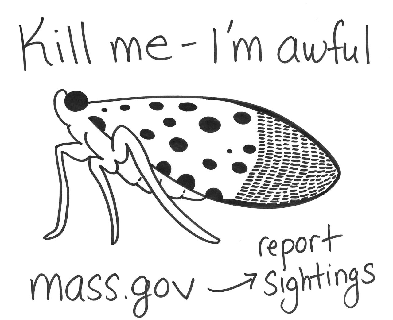 Spotted Lanternfly: See It, Snap It, Squish It, Report It | Braman