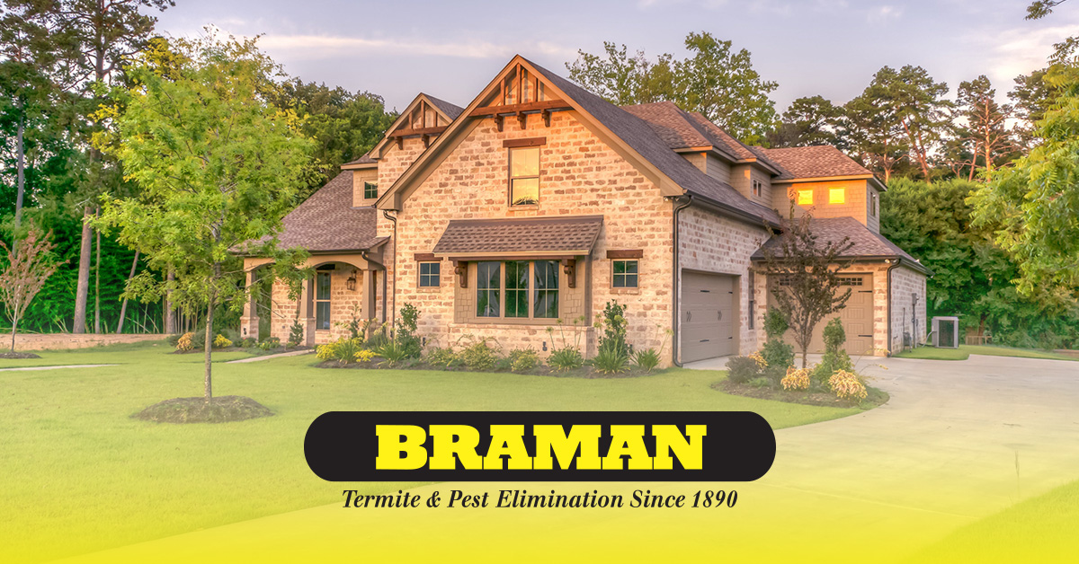 Resolve To Be Pest-Free: A Month-By-Month Guide | Braman Pest