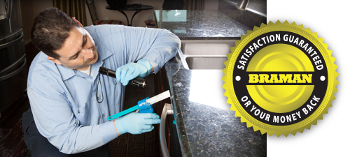 Braman Termite & Pest Elimination | Pest Control Since 1890
